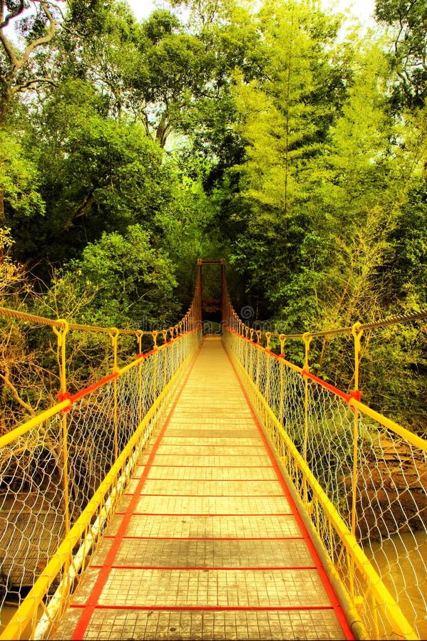 Hanging Bridge To Forest Picture. Image: 2983389