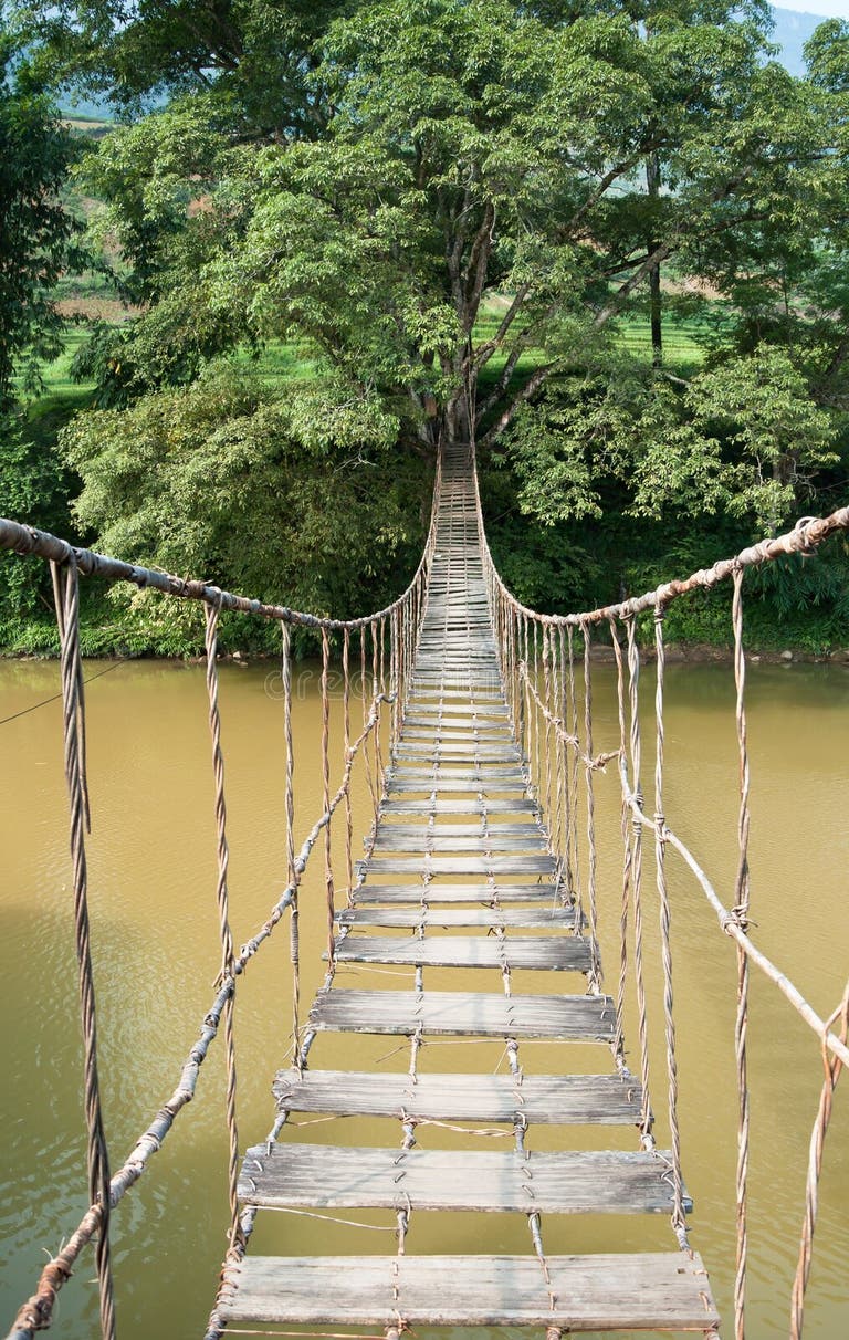 461,674 Bridge Tree Prescription Stock Photos - Free & Royalty-Free ...