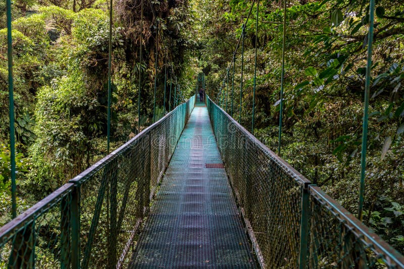 Hanging Bridges in Cloudforest - Monteverde, Costa Rica Stock Image ...