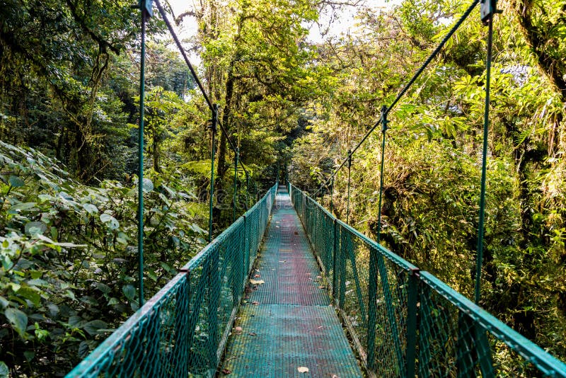 Hanging Bridges in Cloudforest - Monteverde, Costa Rica Stock Photo ...