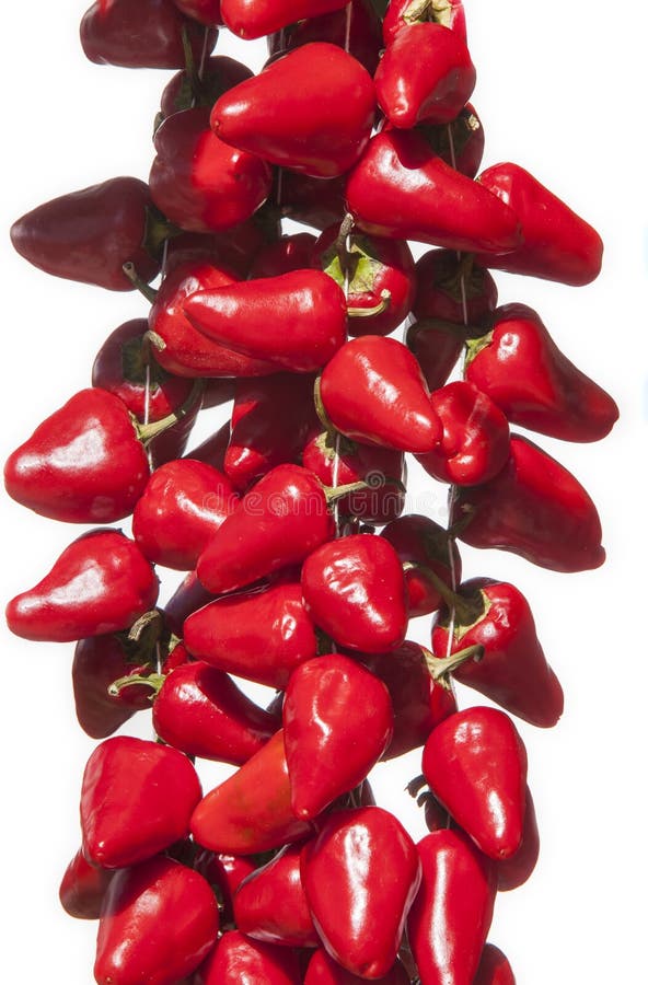Hanging Bunch of Red Chili Peppers for Sale at Pampaneira Town. Stock ...