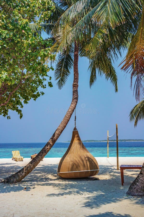 Hanging Chair Under the Palm Tree on a Beach at Maldives Resort Stock ...