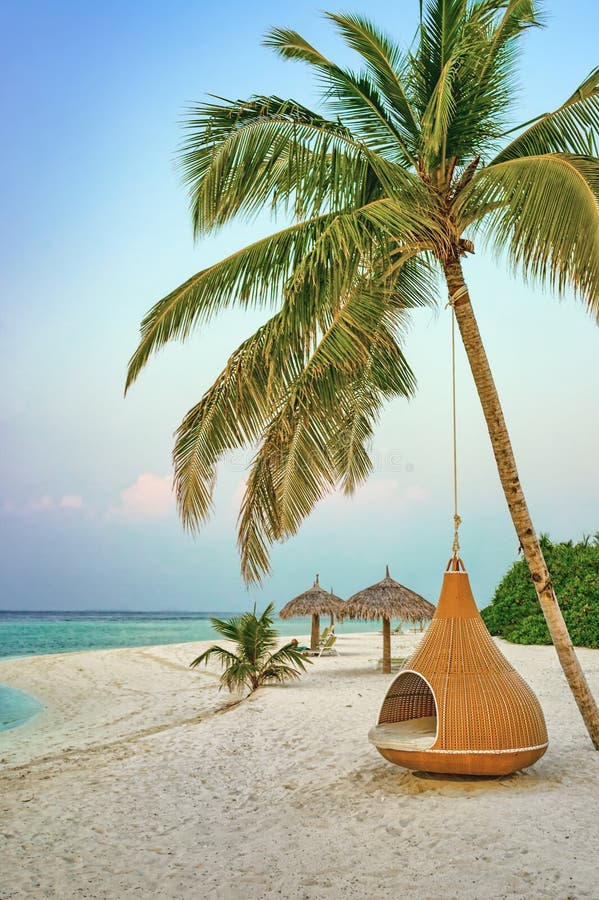 Hanging Chair Under Palm Tree on a Beach at Maldives Resort Stock Photo ...