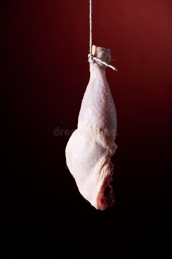 Hanging chicken stock photo. Image of exploitation, bowel - 40020186