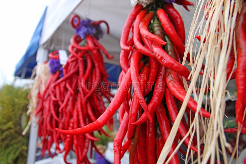 Hanging Chili Peppers stock image. Image of market, spanish - 21775667