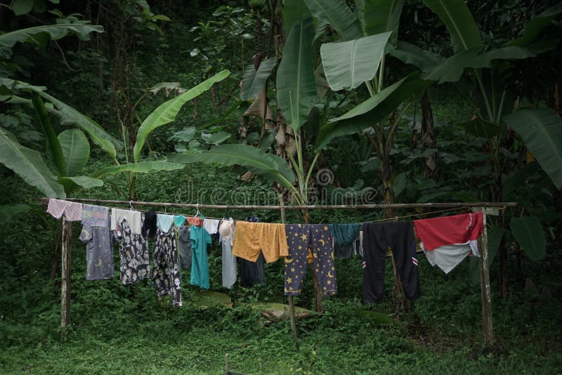 A Hanging Clothes on Backyard Stock Image - Image of jungle, clothes ...