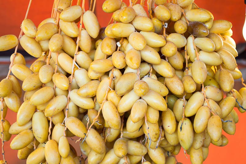 Hanging dates stock photo. Image of arabian, ingredient - 53261338