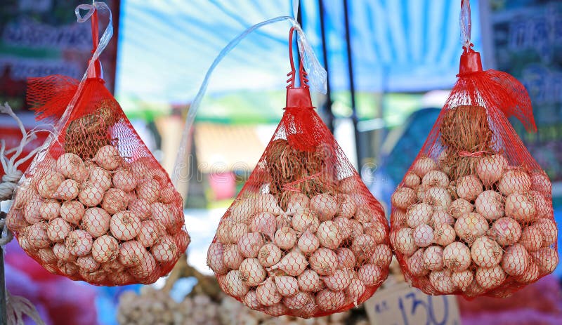 Hanging Dried Garlic in Nylon Net Bag Stock Photo - Image of cooking ...