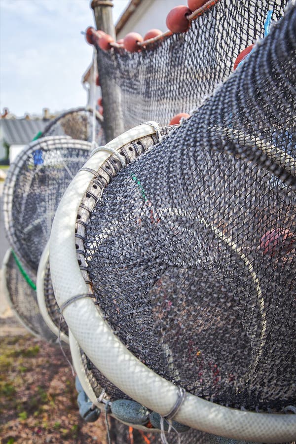 Hanging fishing net. stock photo. Image of decoration - 61411962