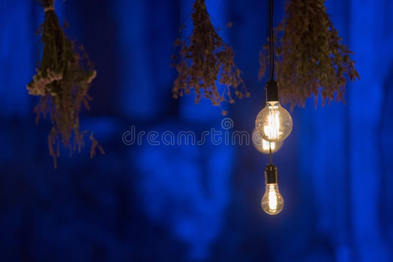 Hanging glowing led bulbs stock image. Image of electric - 170072479