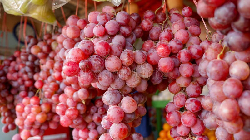 Hanging grape stock photo. Image of grape, branch, street - 259391314