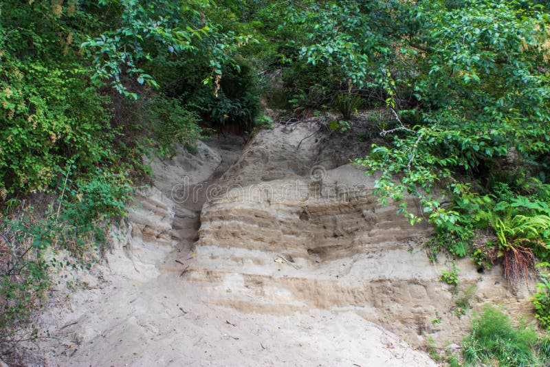 Hanging Green Forest at the Edge of Sandy Cliffs Stock Image - Image of ...
