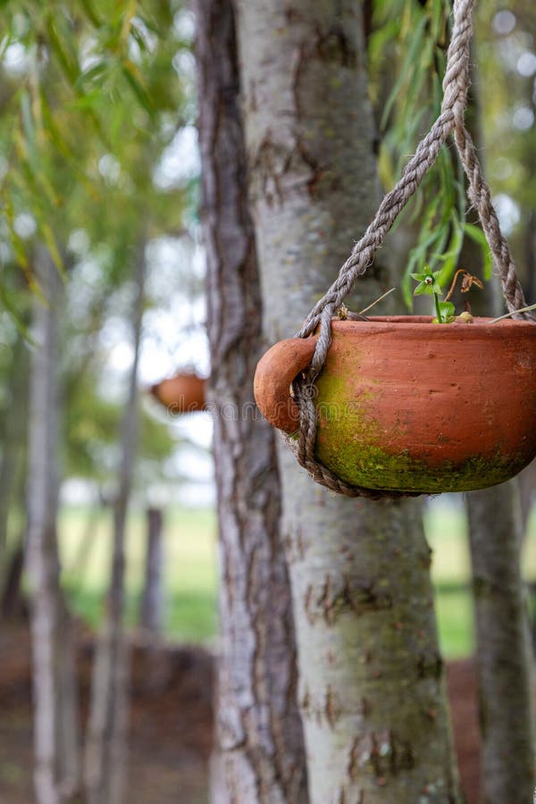Hanging Handcrafted Mud Pot Close Up Stock Photo - Image of plant, tree ...