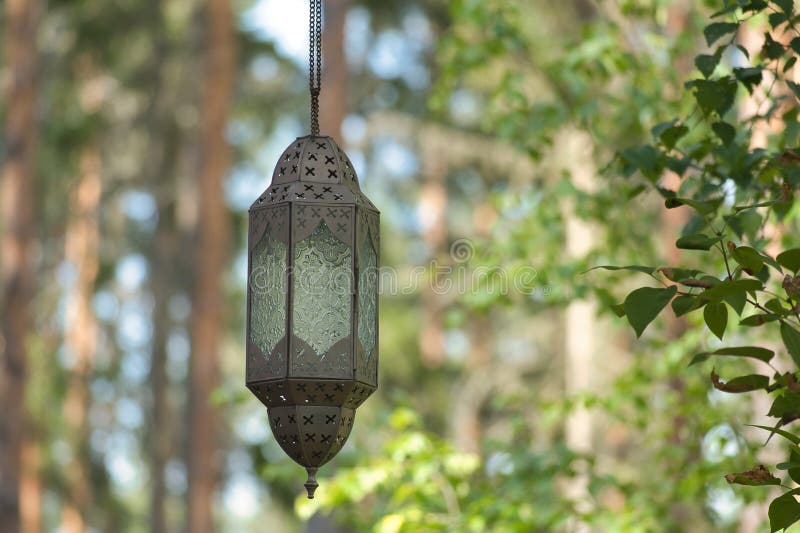 Hanging Lamp on a Track in Front of a Forest of Metal and Glass ...