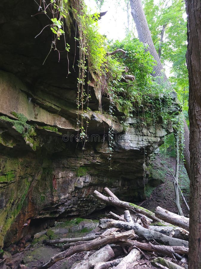 Hanging by a Ledge stock photo. Image of wilderness - 229718240