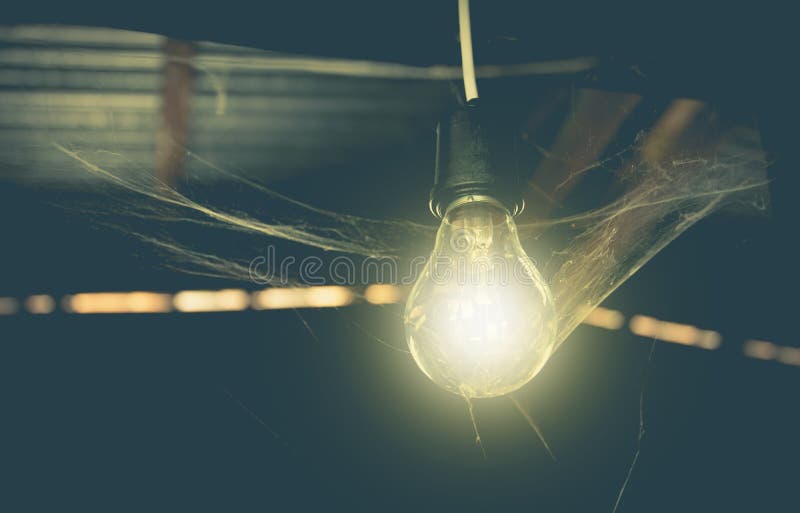 Hanging Light Bulbs with Glowing One and Web Spider. Stock Photo ...