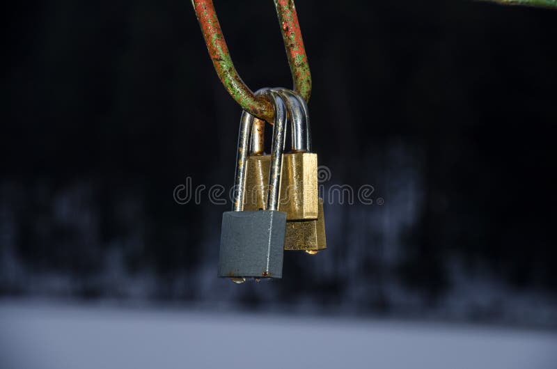 Hanging locks stock photo. Image of golden, luck, hanging - 56926172
