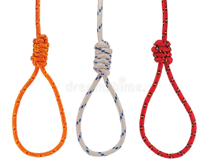 Hanging noose stock photo. Image of knot, death, isolated - 3303264