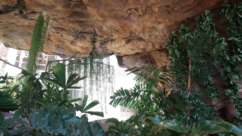 Hanging Ornamental Plant Was Decorated with Large Stone Stock Photo ...