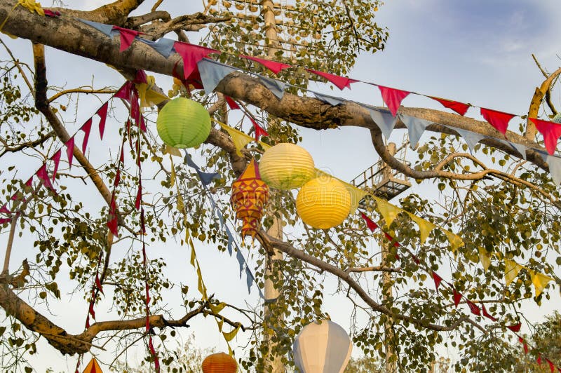 Hanging Paper Lanterns from Tree Stock Photo - Image of lamp, bright ...