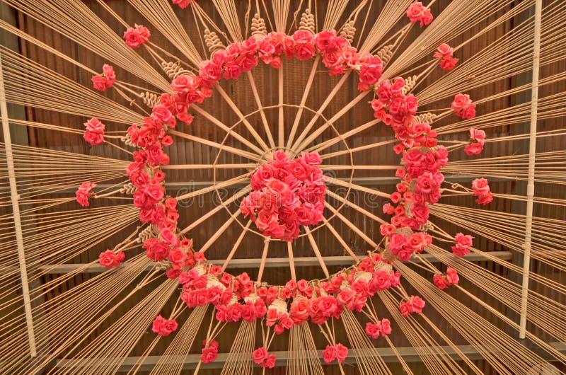 Hanging Pink Roses with Ropes Stock Image - Image of nature, design ...