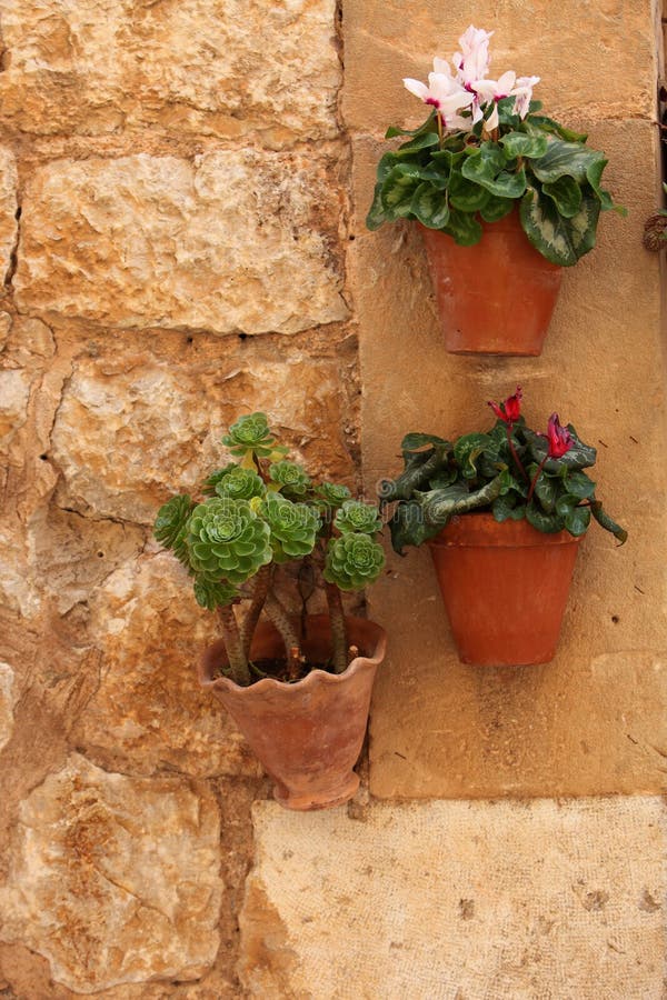 Hanging Plant Pots with Flowers Stock Photo - Image of hanging, pots ...