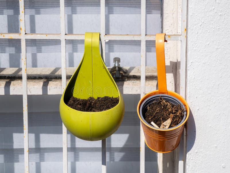 Hanging Planters on White Wall Stock Photo - Image of care, nature ...