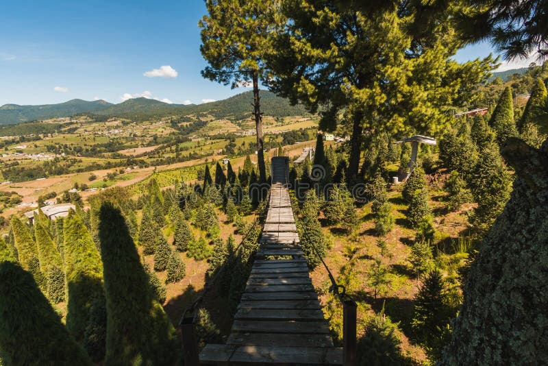 Hanging Point in the Middle of the Forest and Mountains Stock Image ...