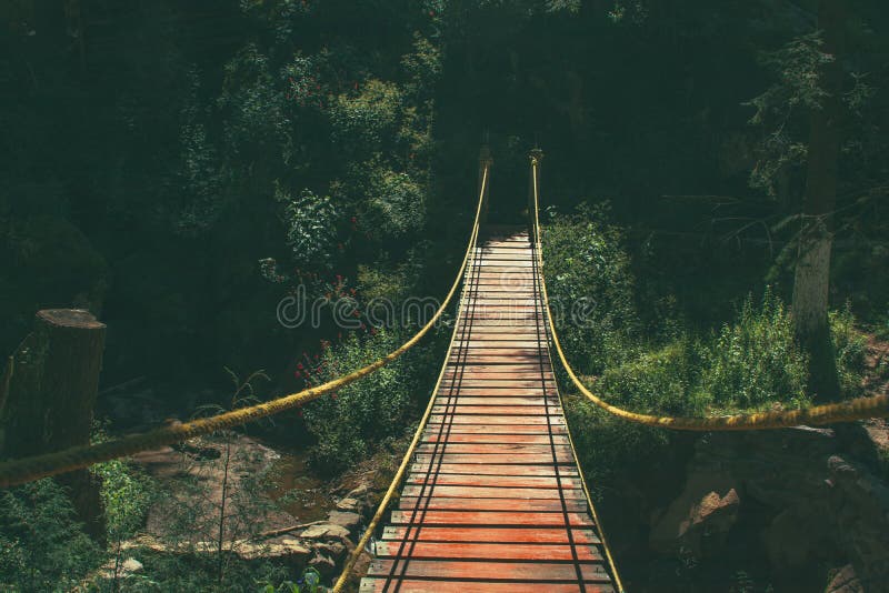 Hanging Point in the Middle of the Forest and Mountains 3 Stock Image ...