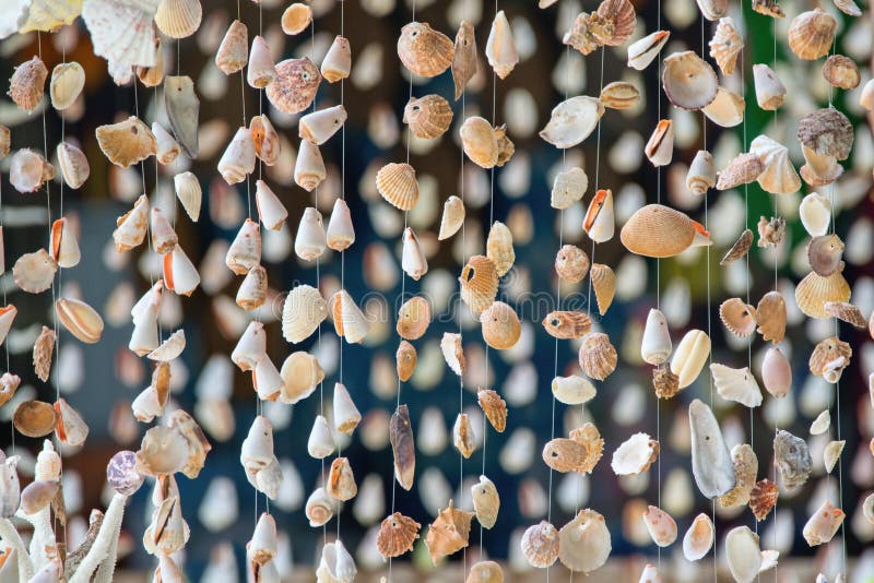 Hanging Sea Shells As a Natural Home Decoration Stock Photo - Image of ...
