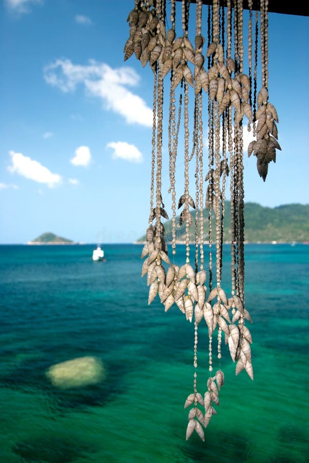 49,061 Seashells Photos - Free & Royalty-Free Stock Photos from Dreamstime