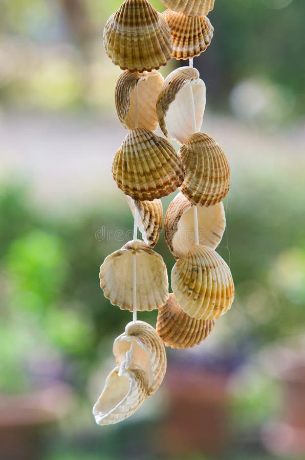 Hanging Seashells Stock Images - Download 290 Royalty Free Photos