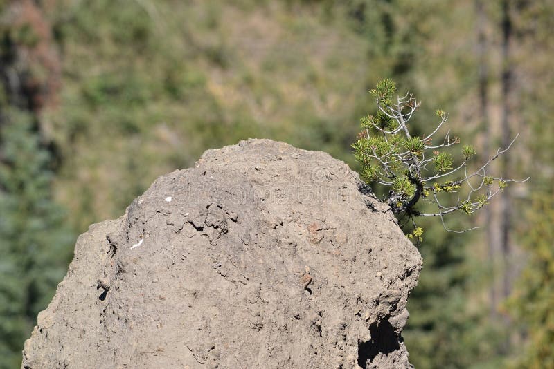 Hanging on stock photo. Image of emerging, pinnacles - 77744288