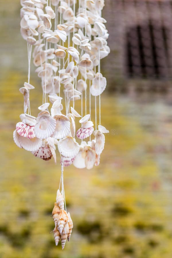 Hanging shells stock photo. Image of door, shell, wall - 69900444