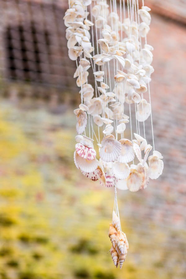 Hanging shells stock photo. Image of crafts, ornament - 69900504