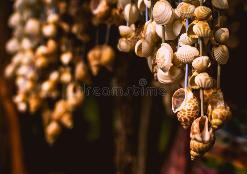 Hanging shells stock photo. Image of hanging, floating - 46579672