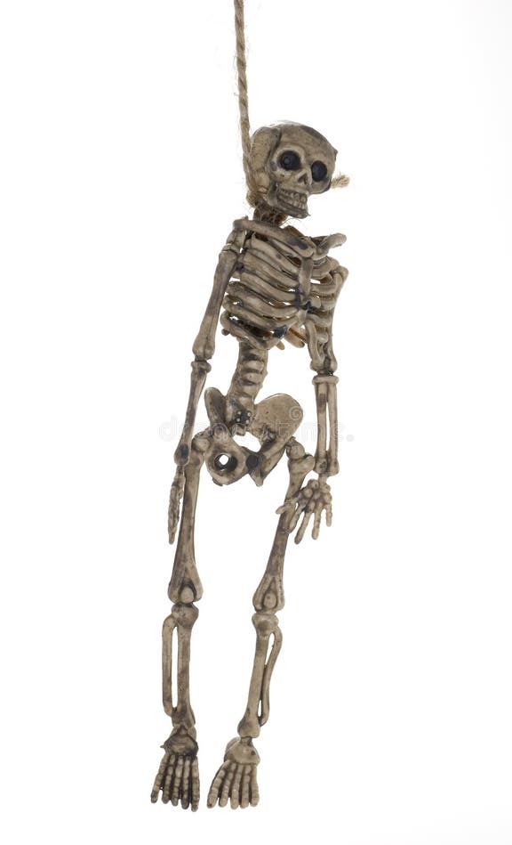 Hanging Skeleton stock image. Image of halloween, skeleton - 3416461
