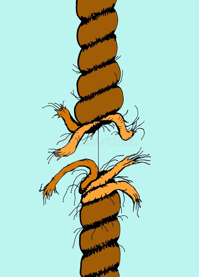 Hanging by a Thread stock illustration. Illustration of rope - 3294515