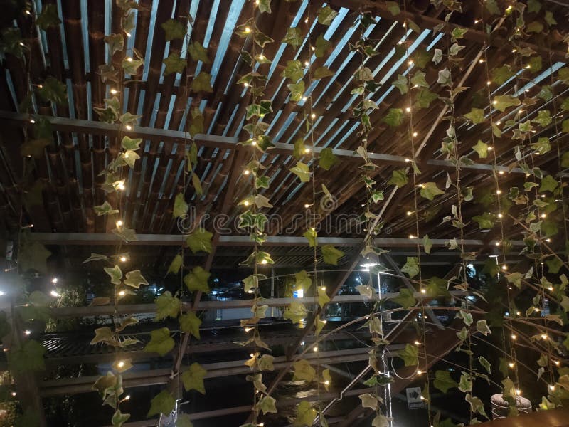 Hanging Tiny lights stock photo. Image of design, evening - 264556896