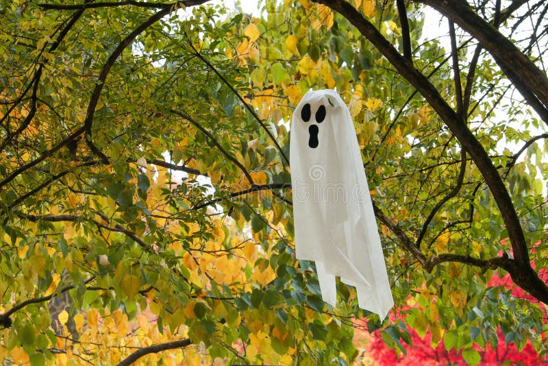 345 Ghost Hanging Tree Stock Photos - Free & Royalty-Free Stock Photos ...