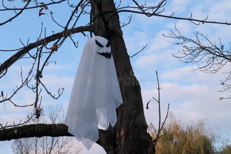 345 Ghost Hanging Tree Stock Photos - Free & Royalty-Free Stock Photos ...