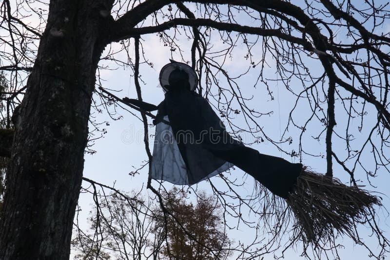 345 Ghost Hanging Tree Stock Photos - Free & Royalty-Free Stock Photos ...