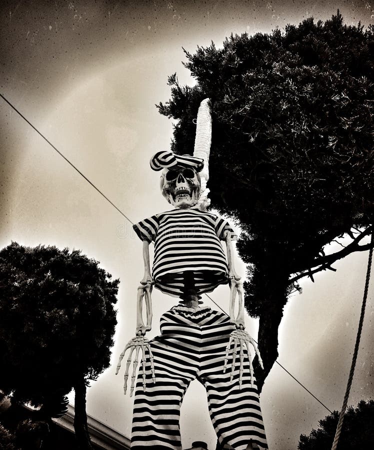 Hanging from a tree stock photo. Image of bones, halloween - 231045548