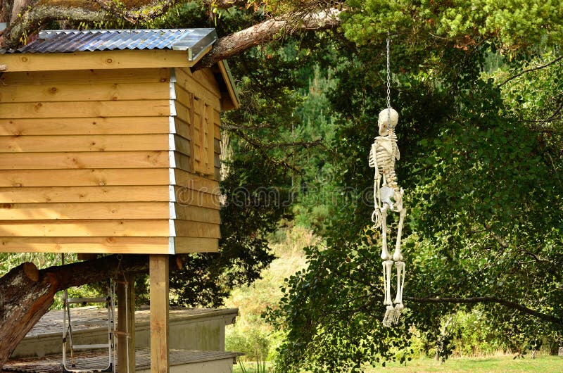 Hanging from a tree stock image. Image of cottage, skull - 30458951