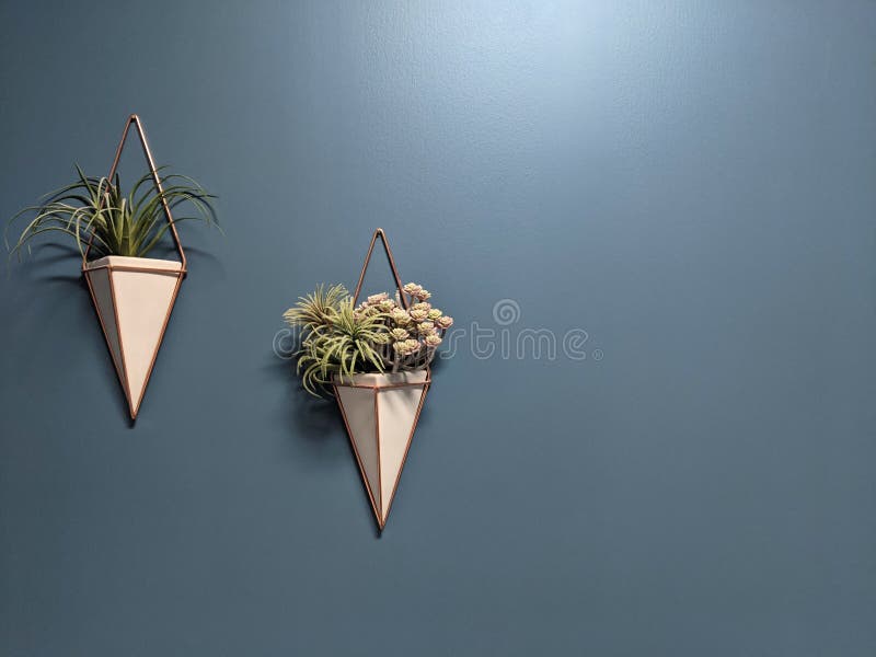 Hanging Triangle Shape Pot with Plants on a Blue Background Wall. Stock ...