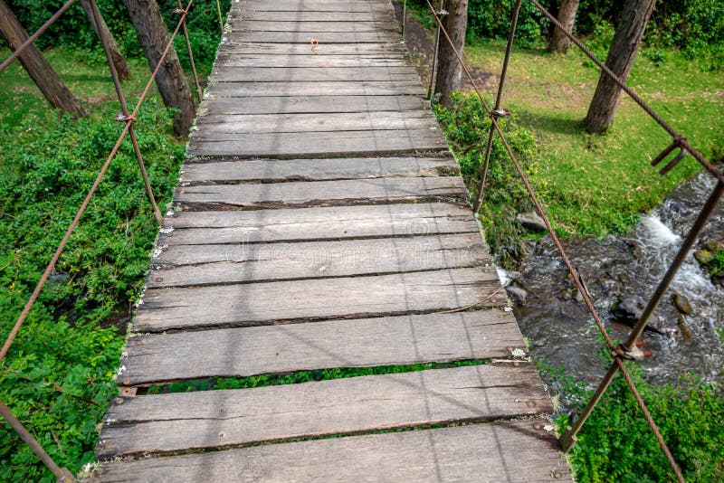 Hanging Wooden Bridge in the Forest Stock Image - Image of nature ...