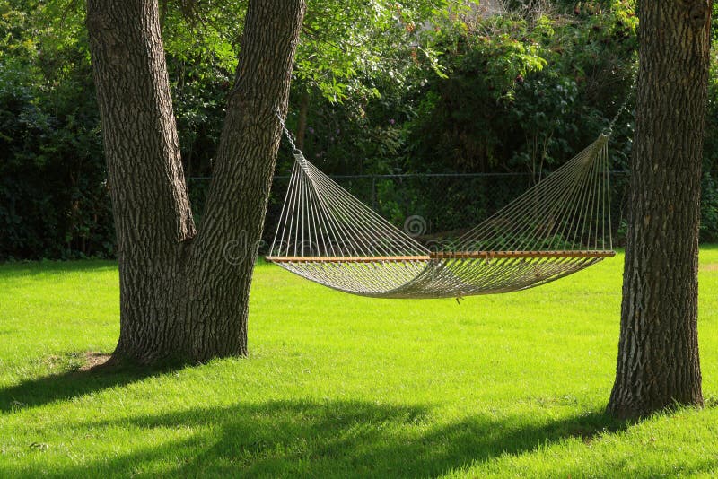 Hangmatten tussen bomen stock afbeelding. Afbeelding bestaande uit ...