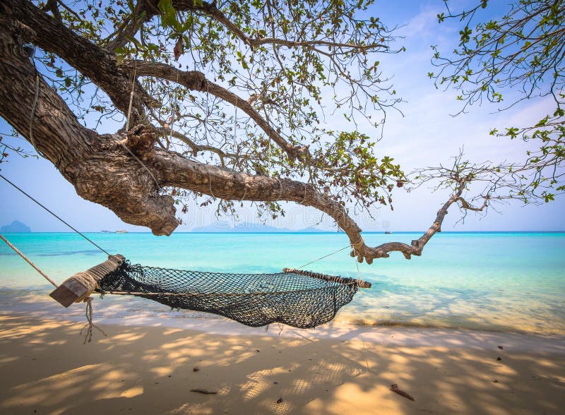 Hangmat Onder Een Boom Op Het Strand Stock Foto - Image of rustig, reis ...