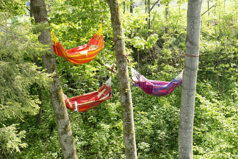 Hangmatten tussen bomen stock afbeelding. Image of kamperen - 40557227