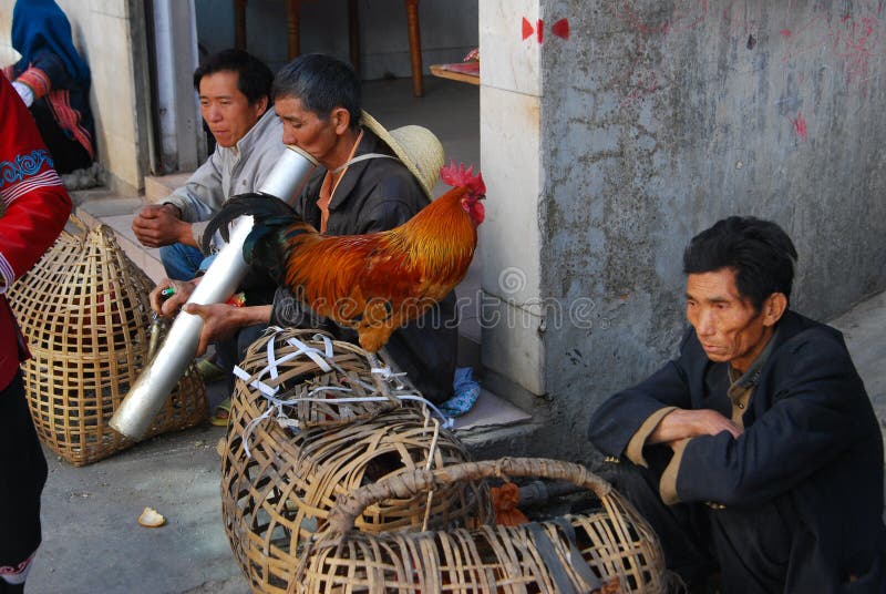 Hani People in Southwest China Editorial Image - Image of national ...